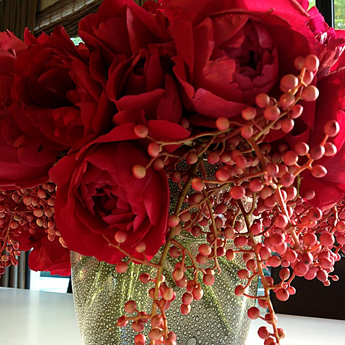 Flowers - birch florists san francisco